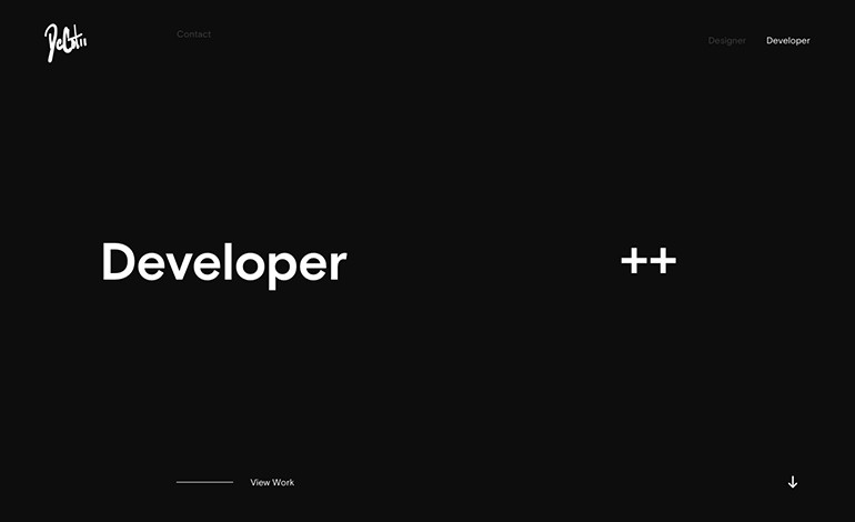 Paul DeCotiis Portfolio- CSSLight