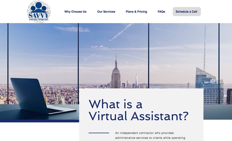 Savvy Virtual Team- CSSLight